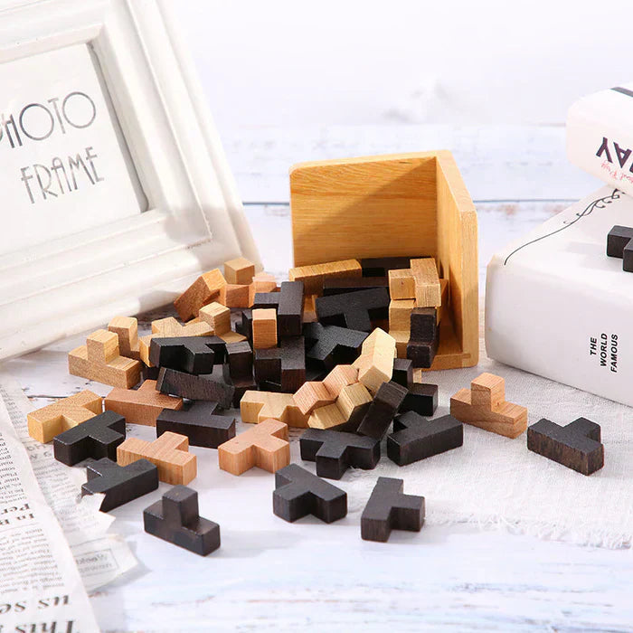 Wooden 3D Logic Puzzle for Problem Solving – Luxicro