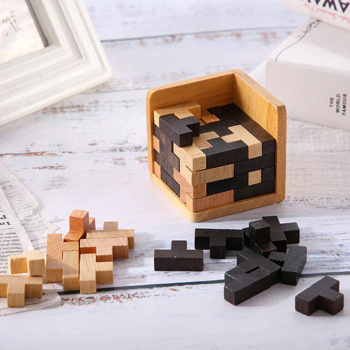 Wooden 3D Logic Puzzle for Problem Solving – Luxicro